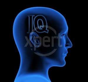 Creative Intelligence and I.Q. | Dr. Michael Wayne