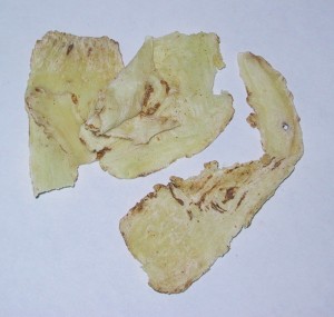 Dang Gui - The Queen of all Herbs | Dr. Michael Wayne